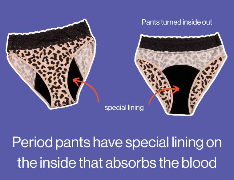 How to find the best period pants for tweens & teens | Sex Educator ...